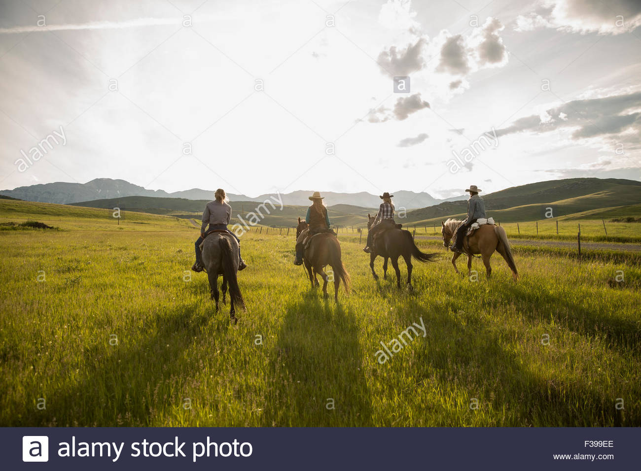 Female ranchers horseback riding in remote sunny field Stock Photo - Alamy