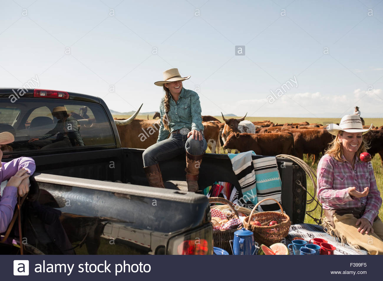 Rancher driving cattle hi-res stock photography and images - Alamy