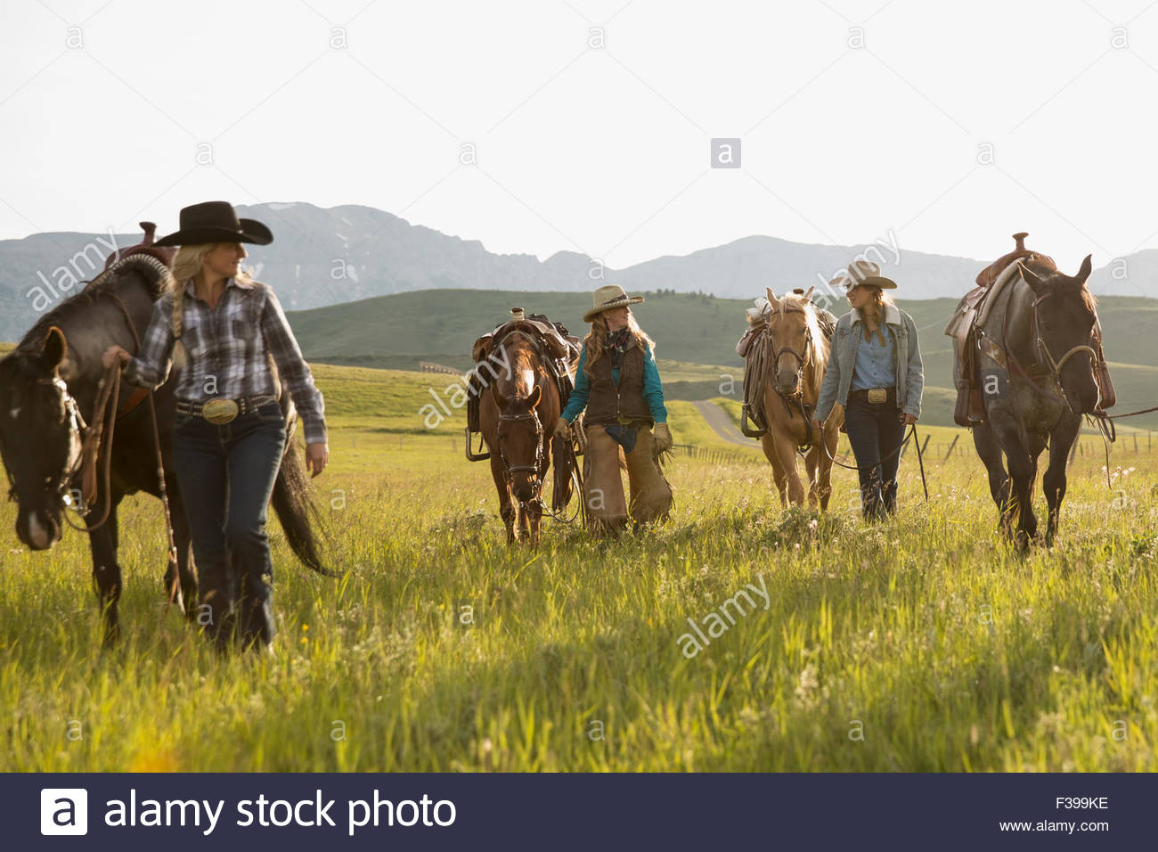 Mature woman horses hi-res stock photography and images - Alamy