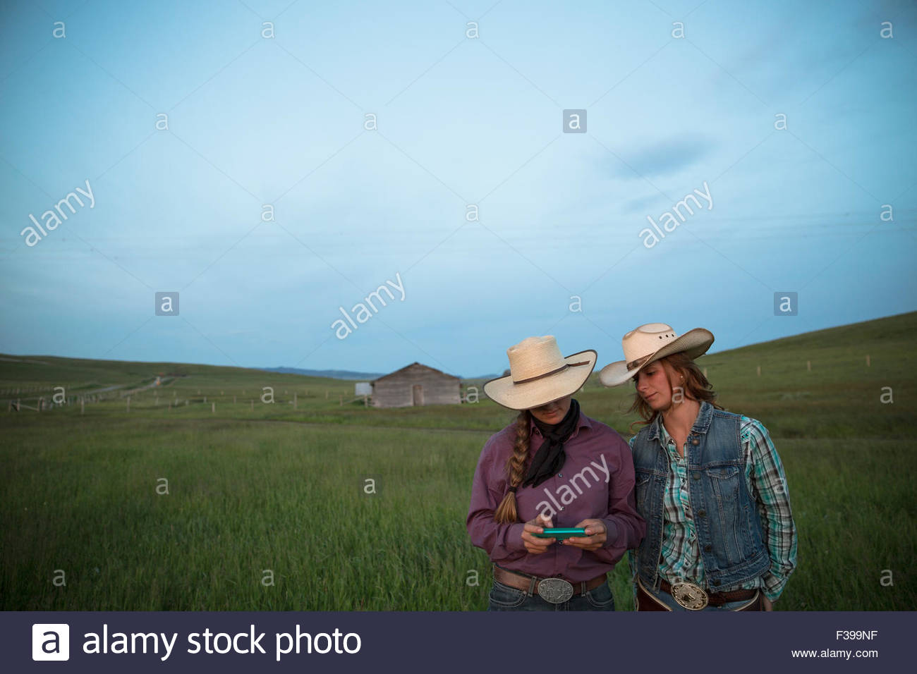 Female ranchers texting with cell phone in remote field Stock Photo - Alamy