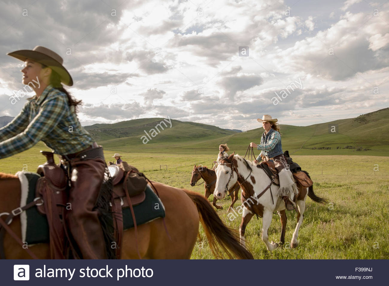 Female ranchers horseback riding in sunny remote field Stock Photo - Alamy