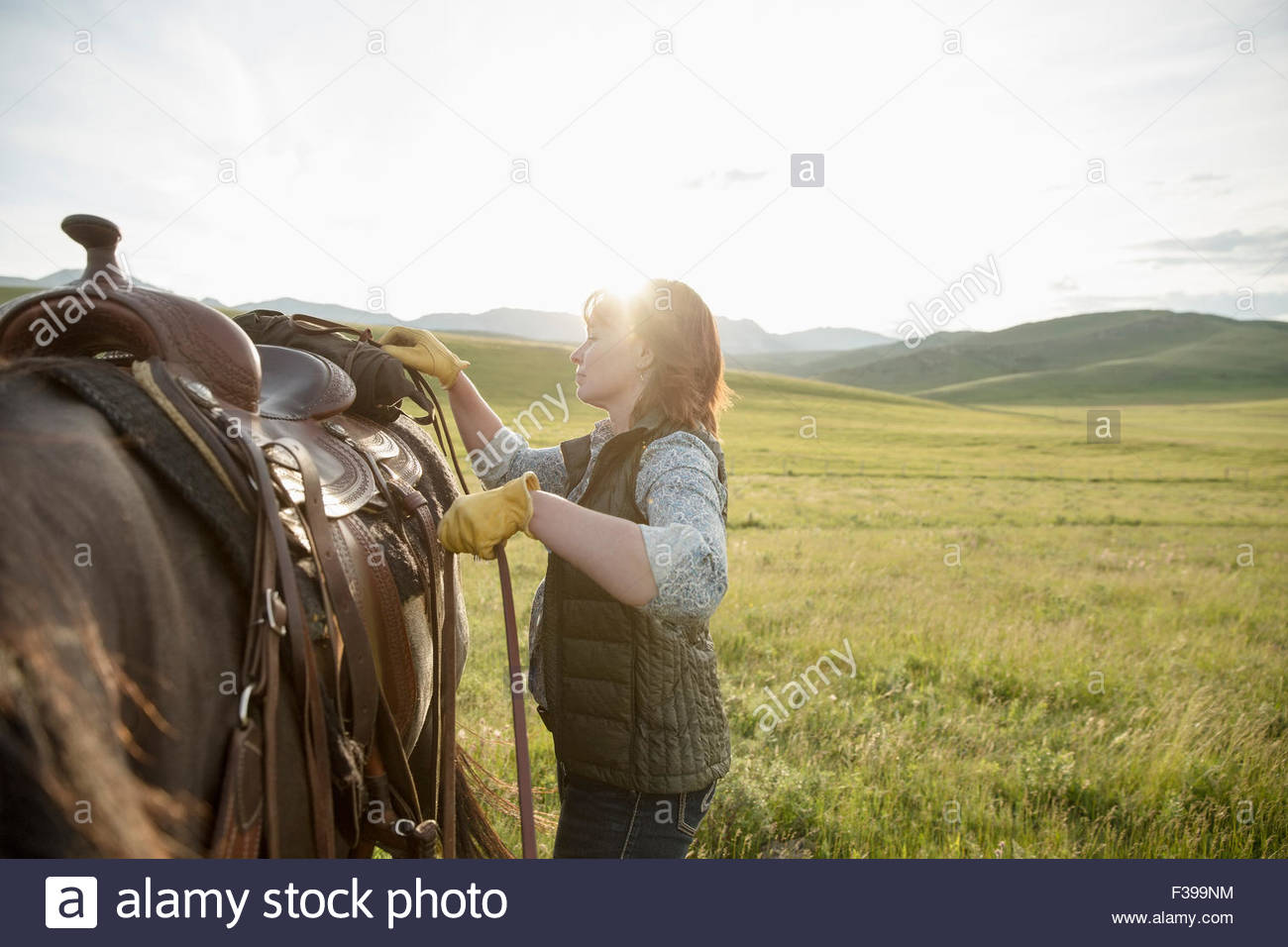 Female rancher adjusting saddle on horse remote field Stock Photo - Alamy