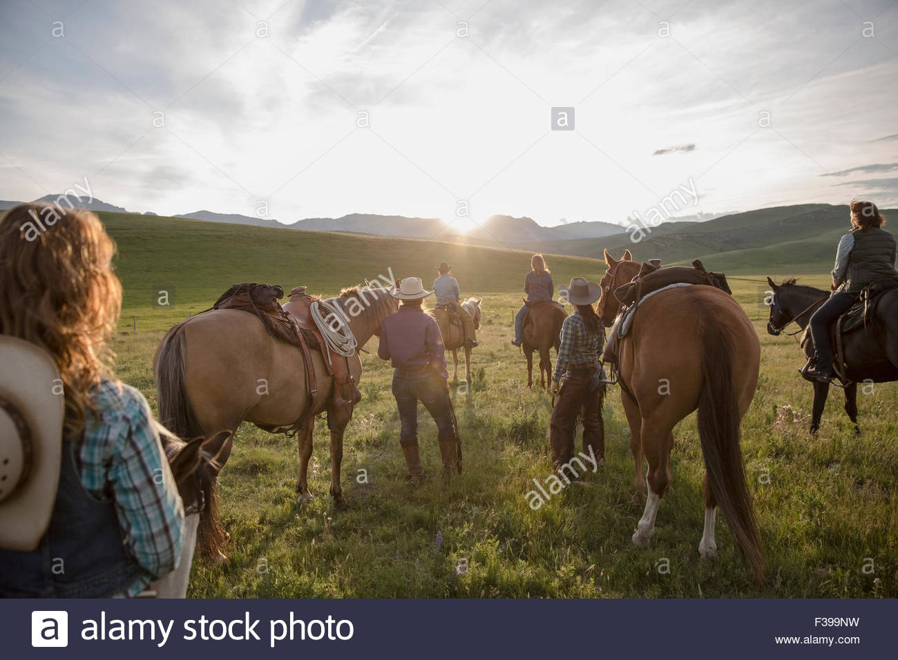 Female ranchers with horses watching sunset remote field Stock Photo ...