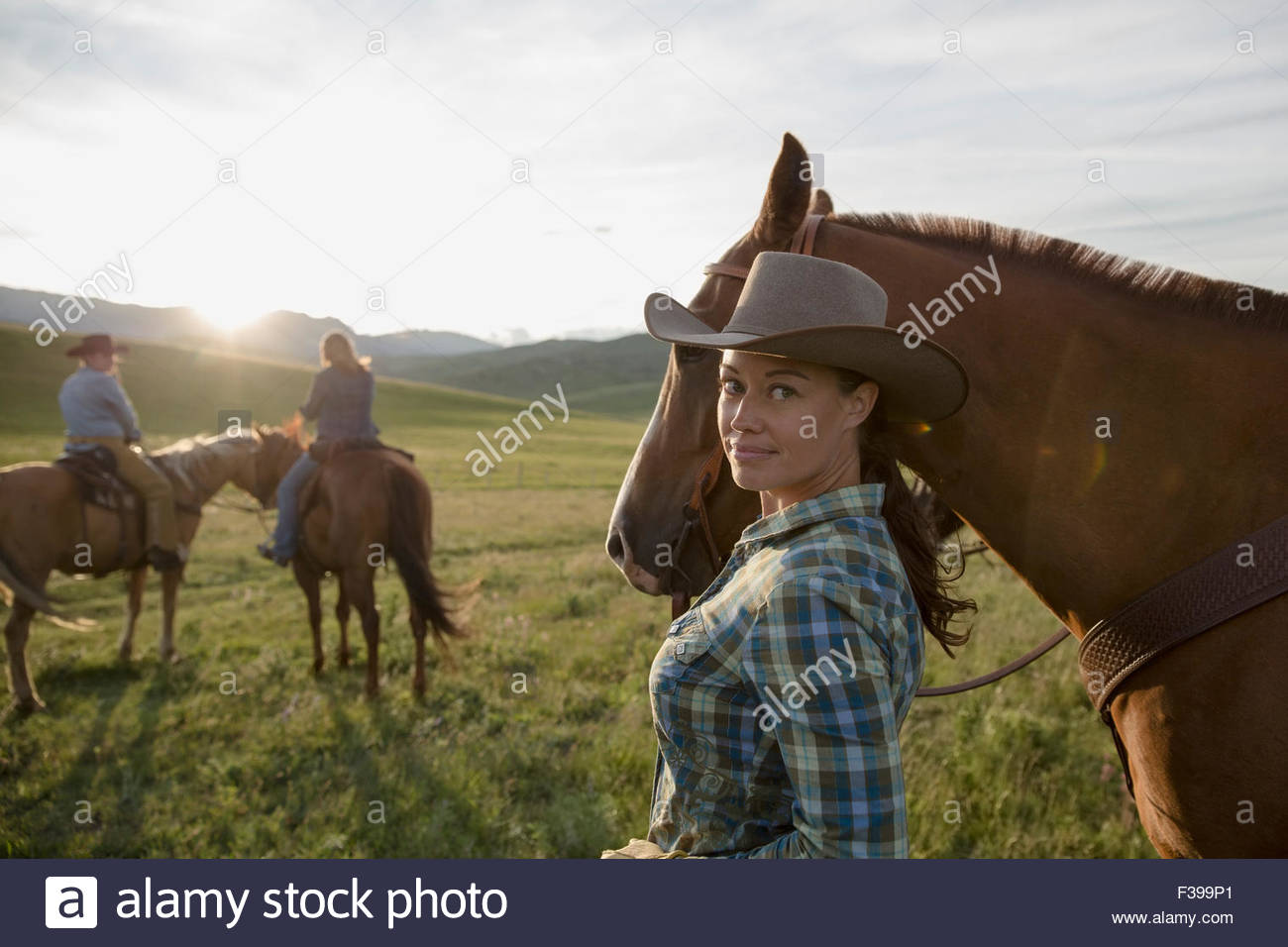 Smiling horse field hi-res stock photography and images - Alamy