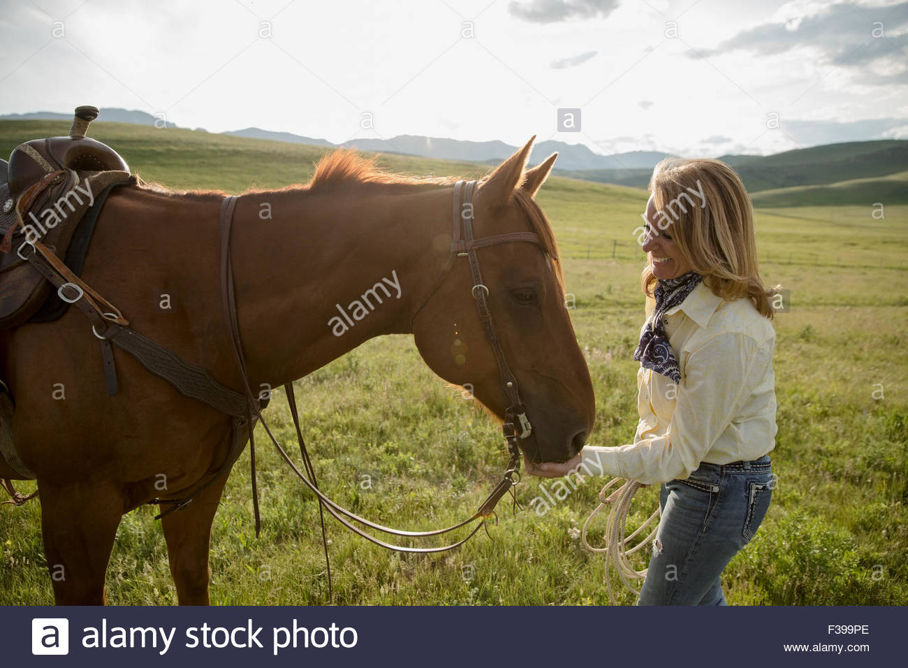 Female rancher with horse in sunny remote field Stock Photo - Alamy