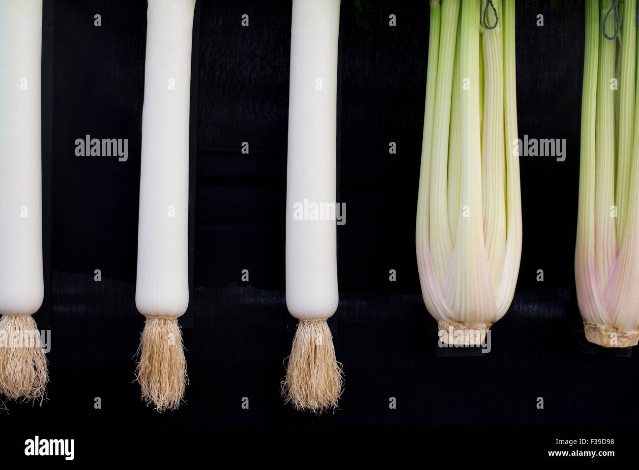 Show leeks hi-res stock photography and images - Alamy