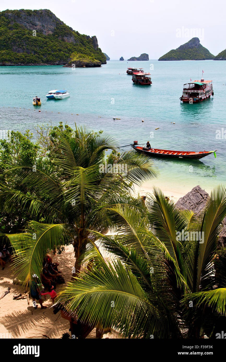 boat coastline of a green lagoon and tree south china sea thailand kho ...