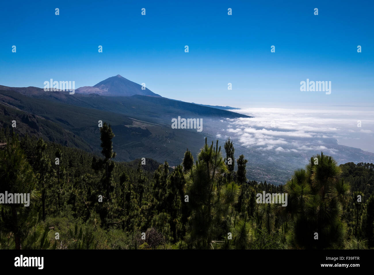 Chipique hi-res stock photography and images - Alamy