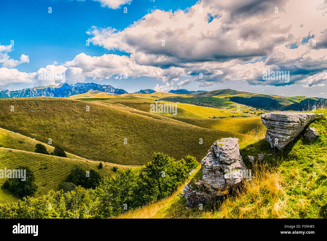 Sinuous Lines High Resolution Stock Photography and Images - Alamy