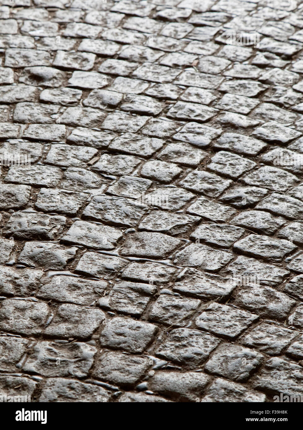 Cobblestone pavement shot from low viewpoint, background Stock Photo ...