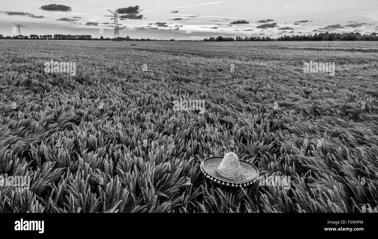 Sombrero hat on a barley field Stock Photo - Alamy