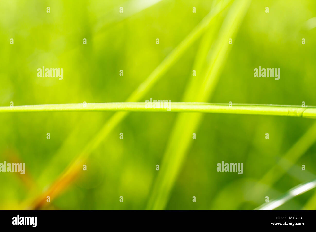 Abstract natural backgrounds Stock Photo - Alamy