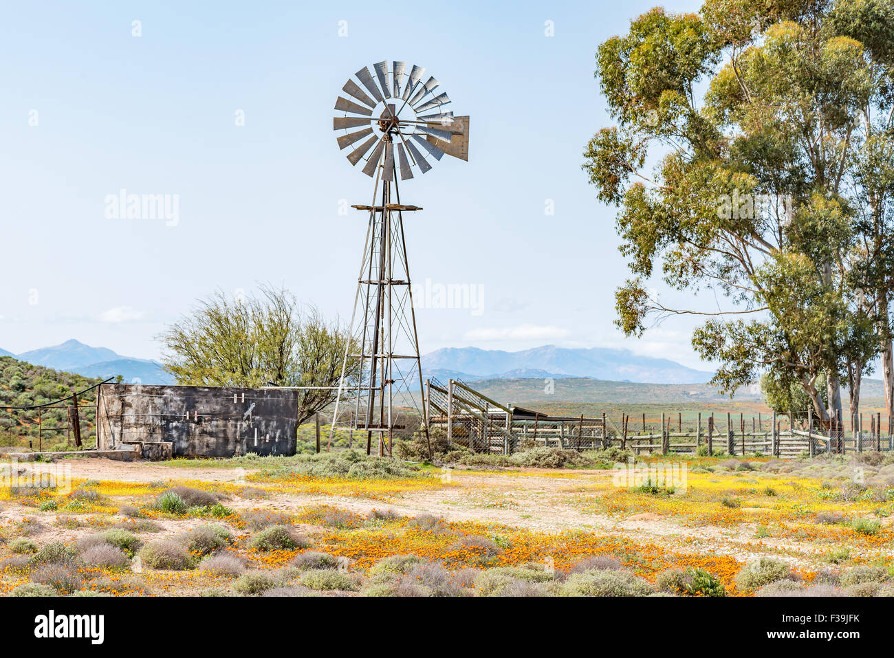 A water pumping windmill, dam and a kraal on a farm next to the road ...