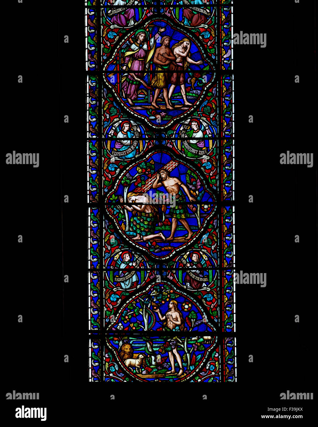 St Patrick's Cathedral south transept window Stock Photo - Alamy