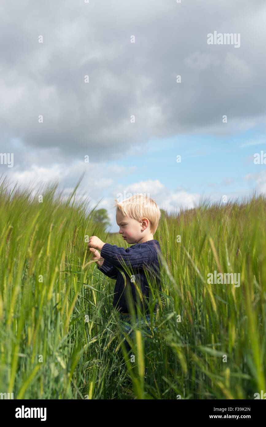 Child boy side view looking blonde hi-res stock photography and images ...