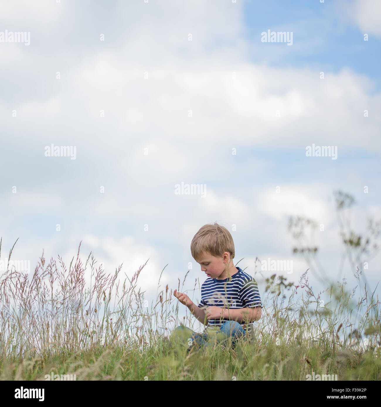 Boy sitting in long grass Stock Photo - Alamy