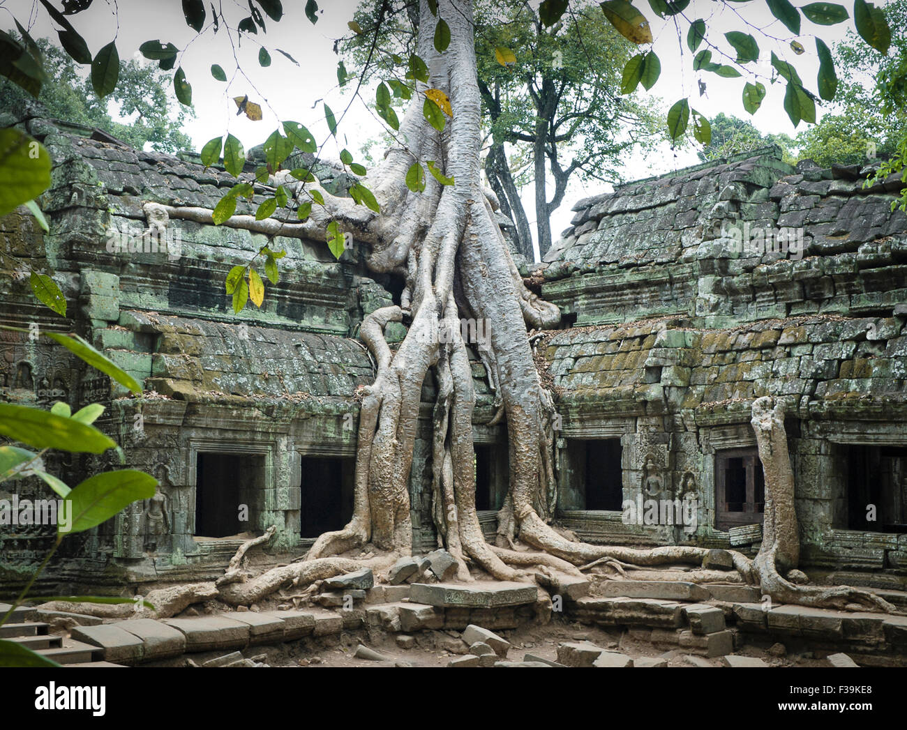Temple tree structure hi-res stock photography and images - Alamy