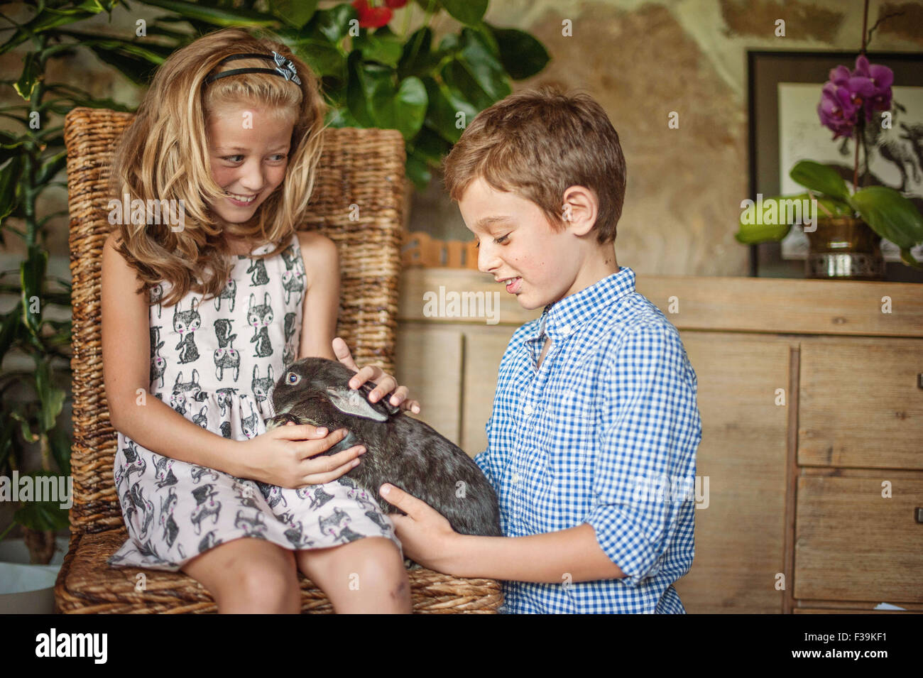 Boy and girl playing with their pet rabbit Stock Photo - Alamy