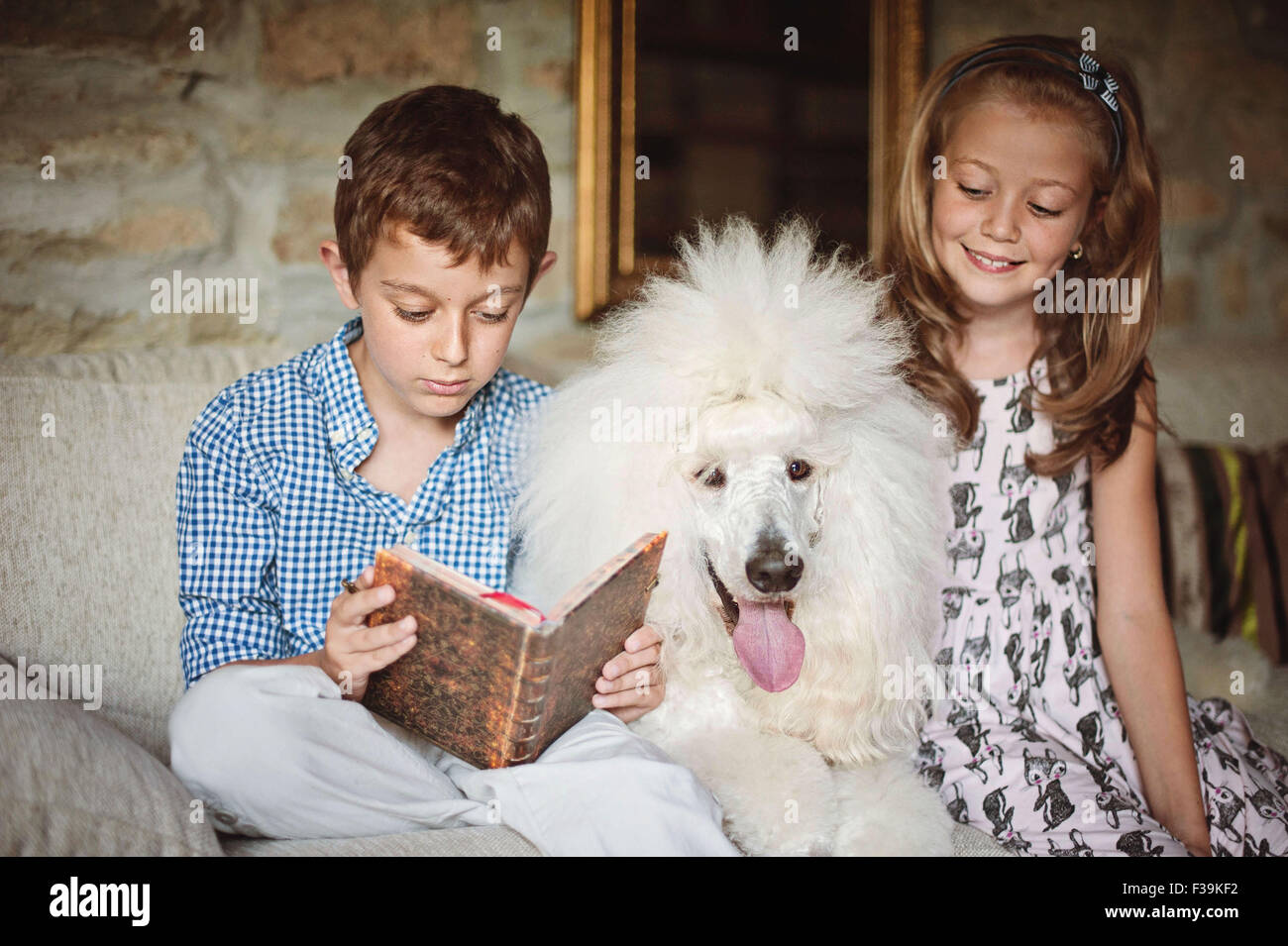Boy and girl reading a book with their pet poodle dog Stock Photo - Alamy