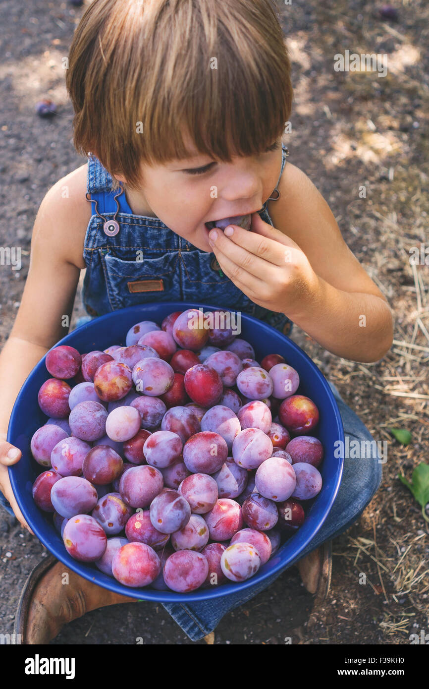A child is eating a plum hi-res stock photography and images - Alamy