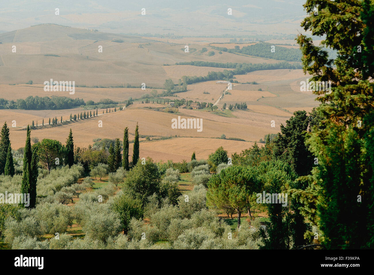 Rural scene, Tuscany, Pienza, Italy Stock Photo - Alamy