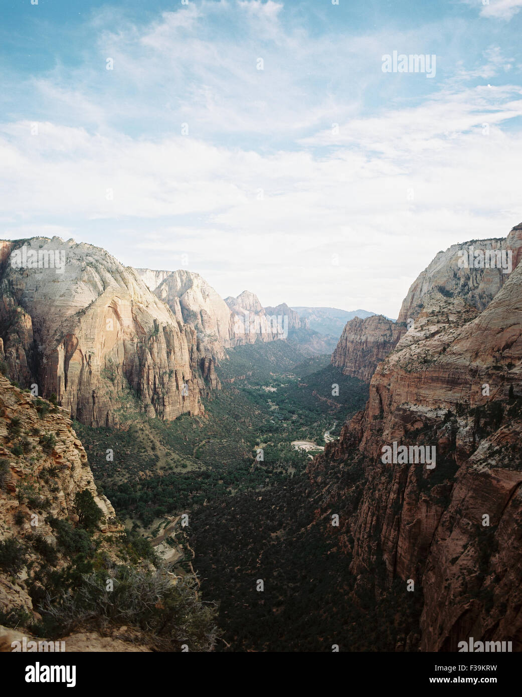 Angel's Landing at Zion National Park, Utah, USA Stock Photo - Alamy