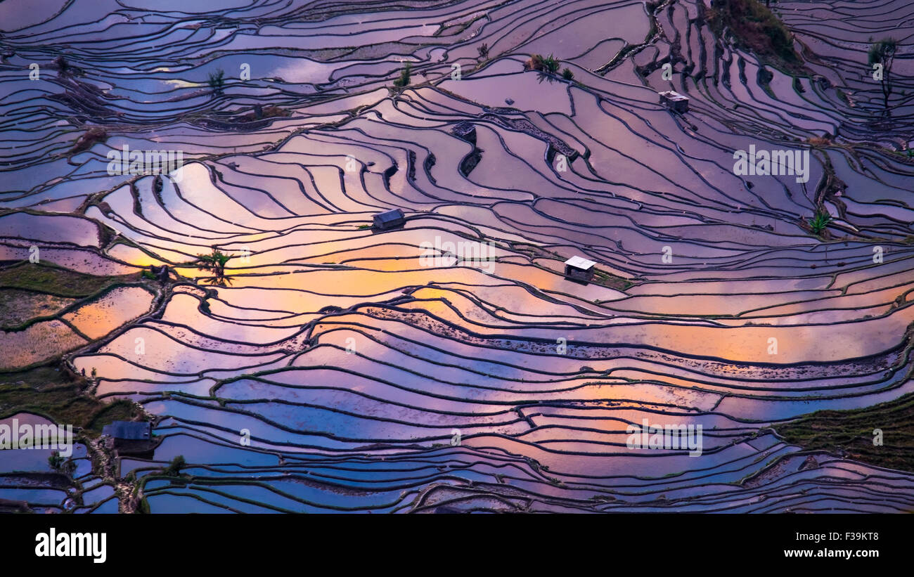 Aerial view of Terraced rice fields, Yuanyang, China Stock Photo - Alamy