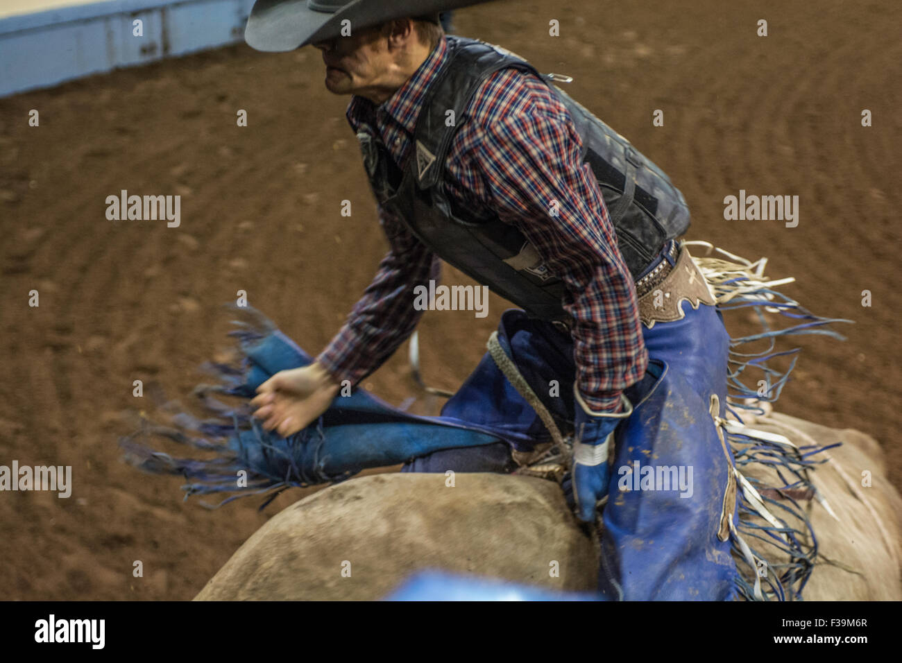 Cowboy riding bucking bull during rodeo in Oklahoma City, Oklahoma, USA ...