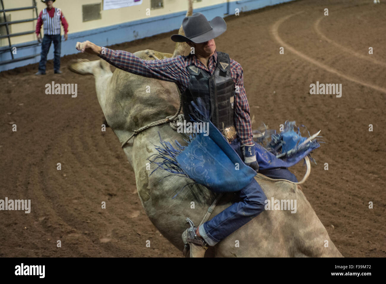 Cowboy riding bucking bull during rodeo in Oklahoma City, Oklahoma, USA ...