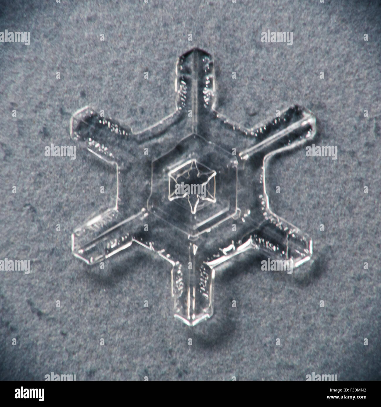 Single melting snowflake macro with gray/blue background Stock Photo ... Single melting snowflake macro with gray/blue background Stock Photo ...