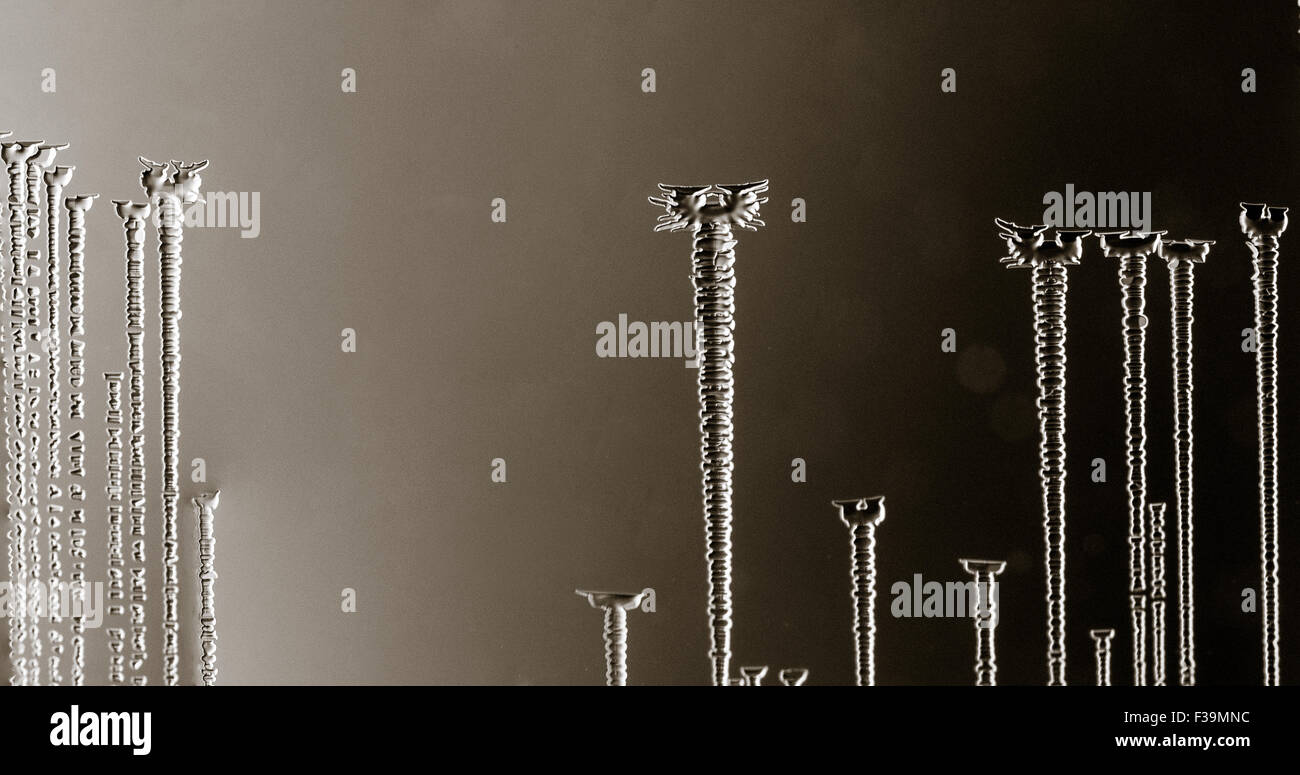 Fragile pattern hi-res stock photography and images - Alamy