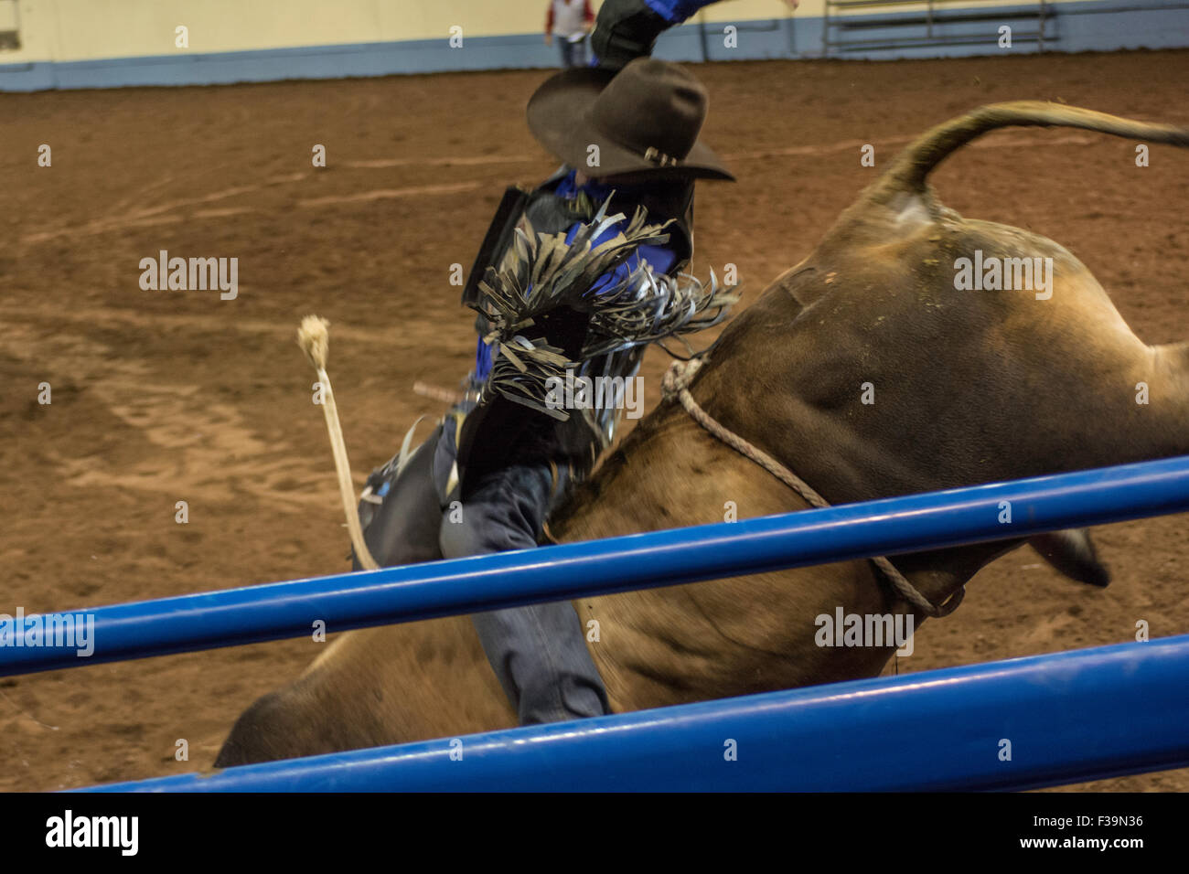 Oklahoma state cowboys hi-res stock photography and images - Alamy