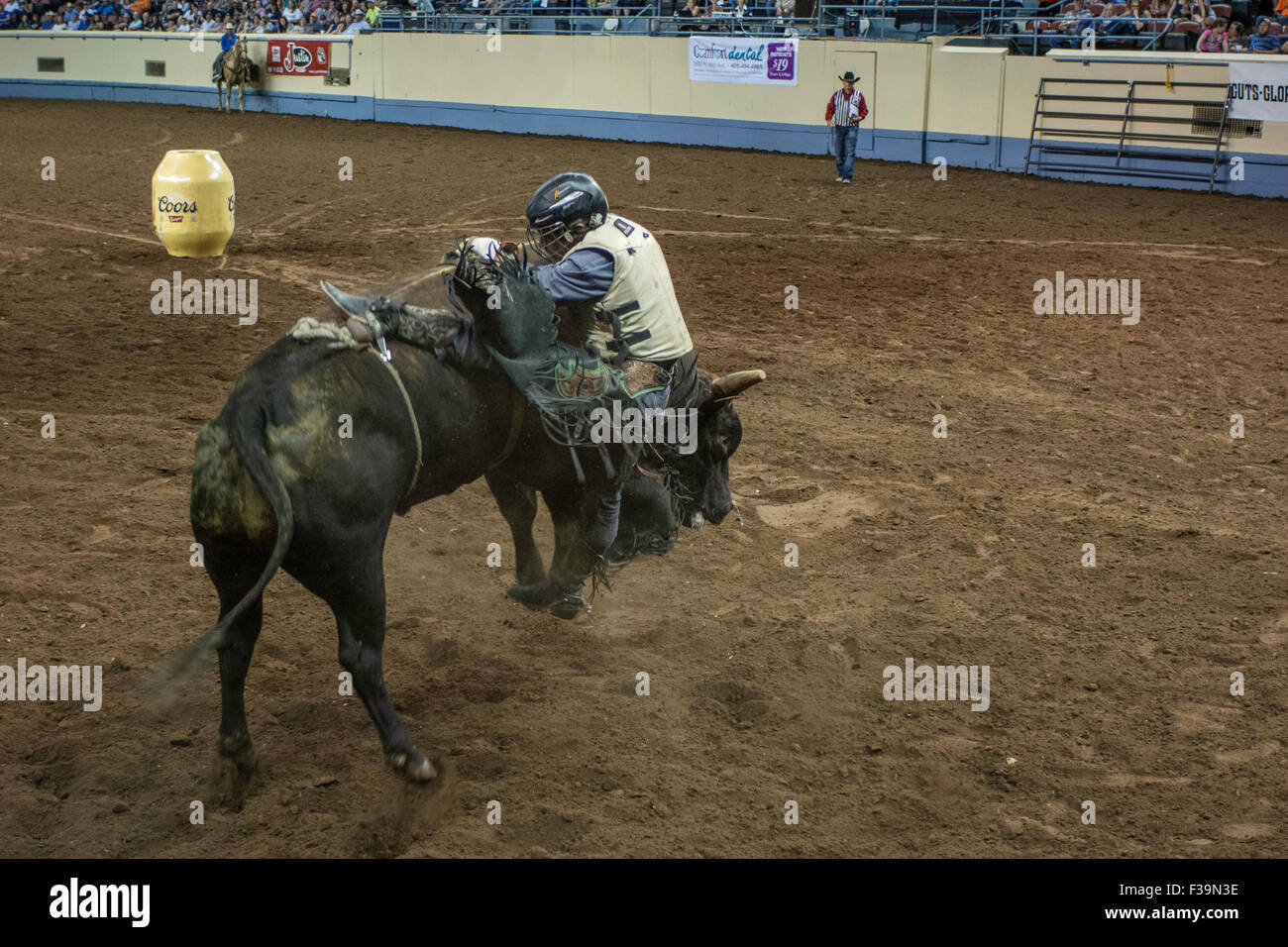 Cowboy riding bucking bull during rodeo in Oklahoma City, Oklahoma, USA ...