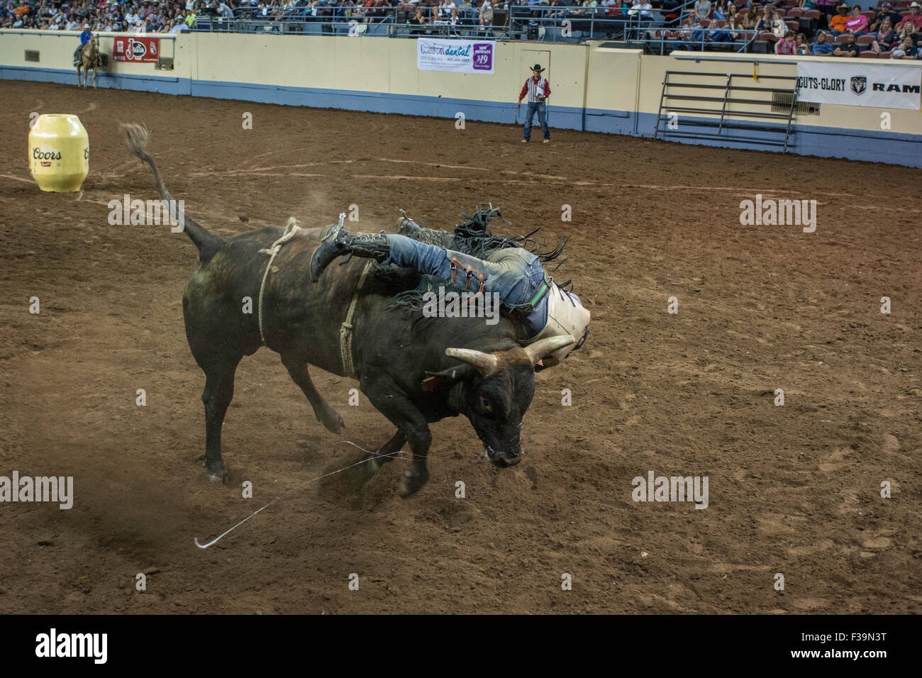 Cowboy Falling Off Bull High Resolution Stock Photography and Images ...