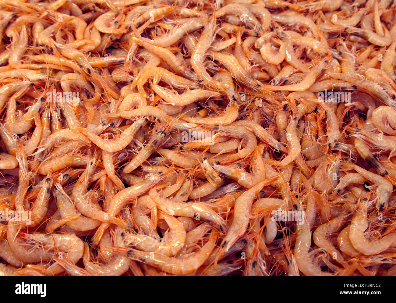 Prawns in shell hi-res stock photography and images - Alamy