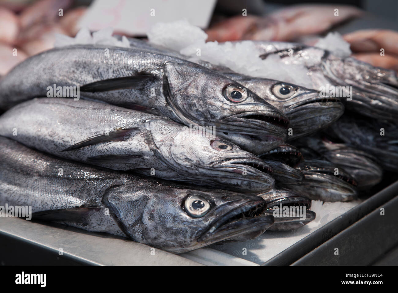 Barcelona food market fish hi-res stock photography and images - Alamy