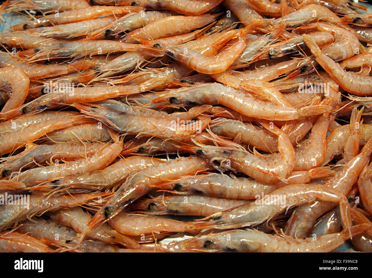 Prawns in shell hi-res stock photography and images - Alamy