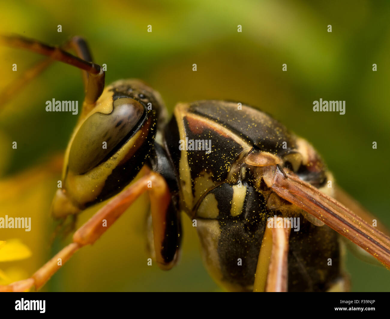 Close up with paper hi-res stock photography and images - Alamy