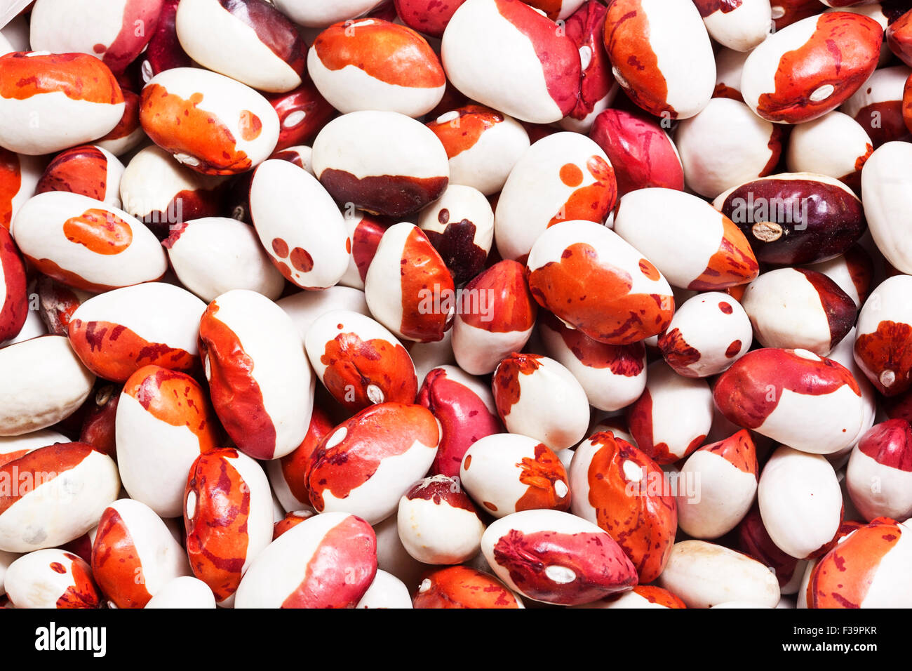 Kidney bean sprout hi-res stock photography and images - Alamy