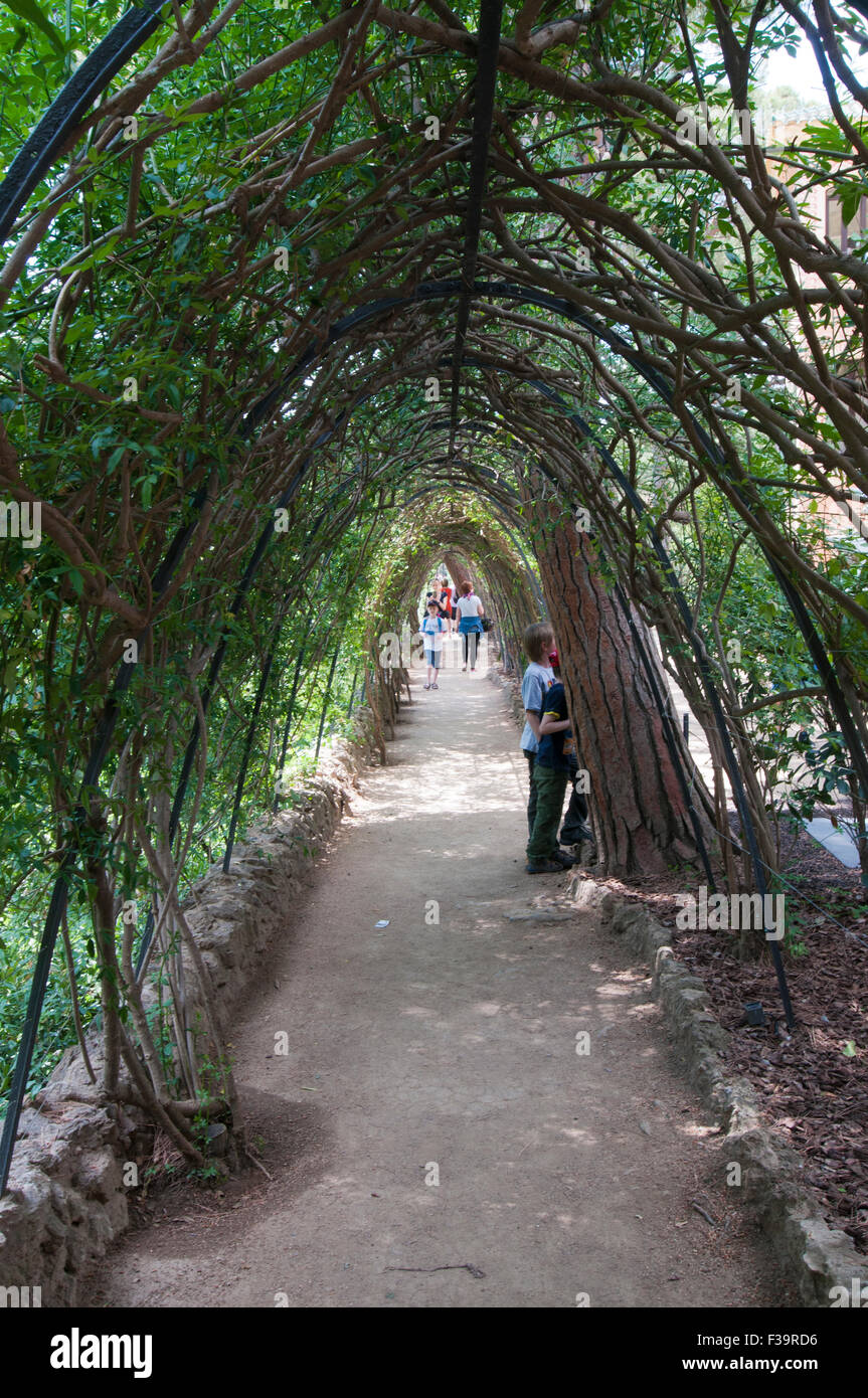 Covered path leading to casa Museu, Parc Guell, Barcelona Stock Photo ...