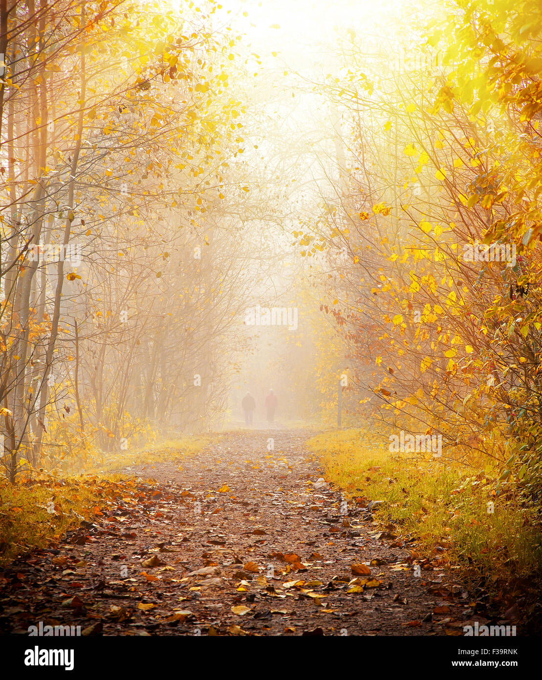 Nature path in autumn Stock Photo - Alamy