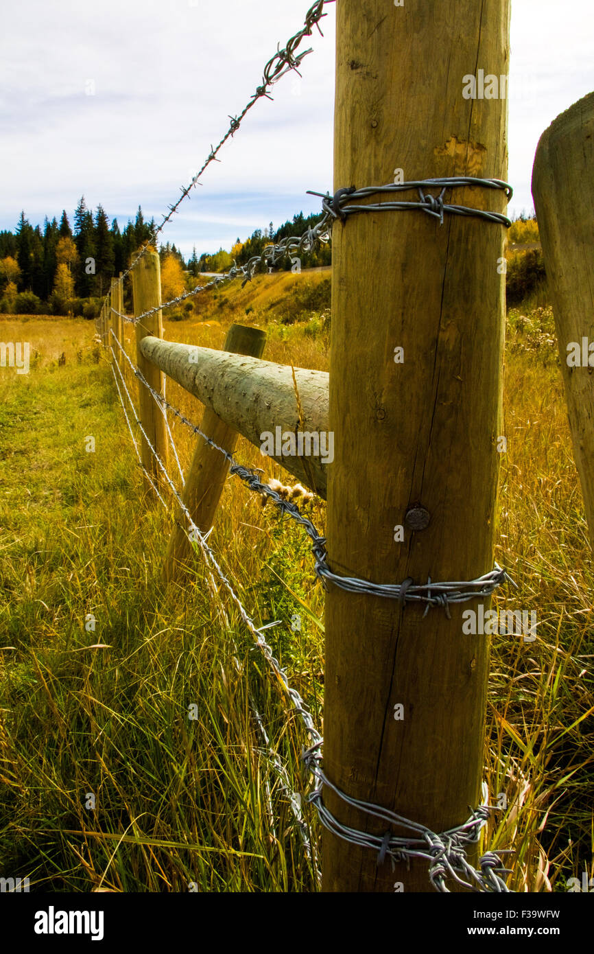 Life fence hi-res stock photography and images - Alamy