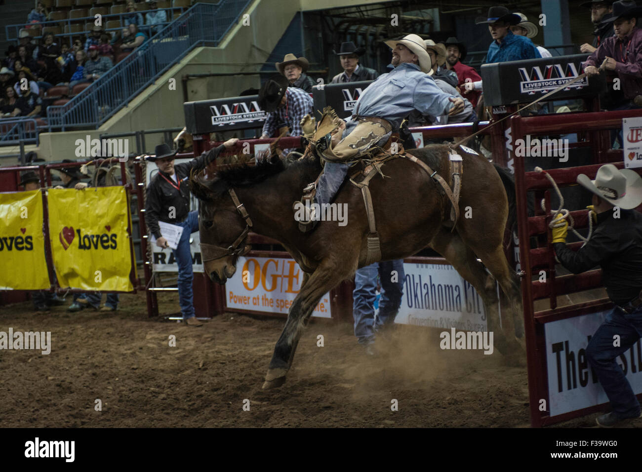 Cowboy riding bucking horse during rodeo in Oklahoma City, Oklahoma ...