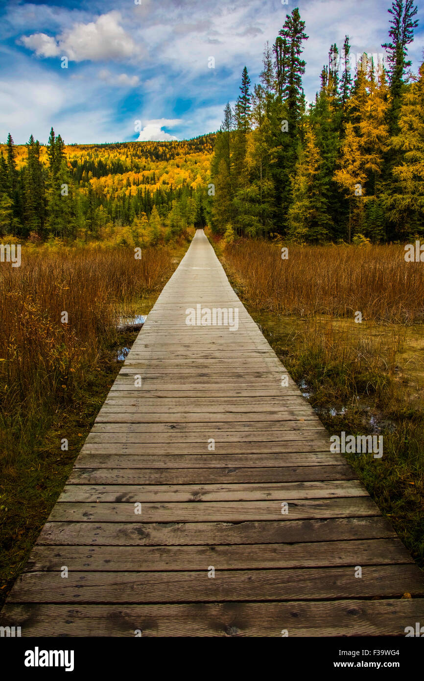 Path of life Stock Photo - Alamy