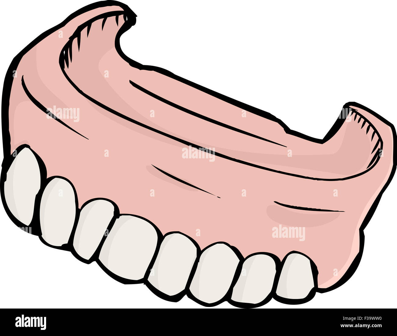 Close up illustration of dentures over white Stock Photo - Alamy