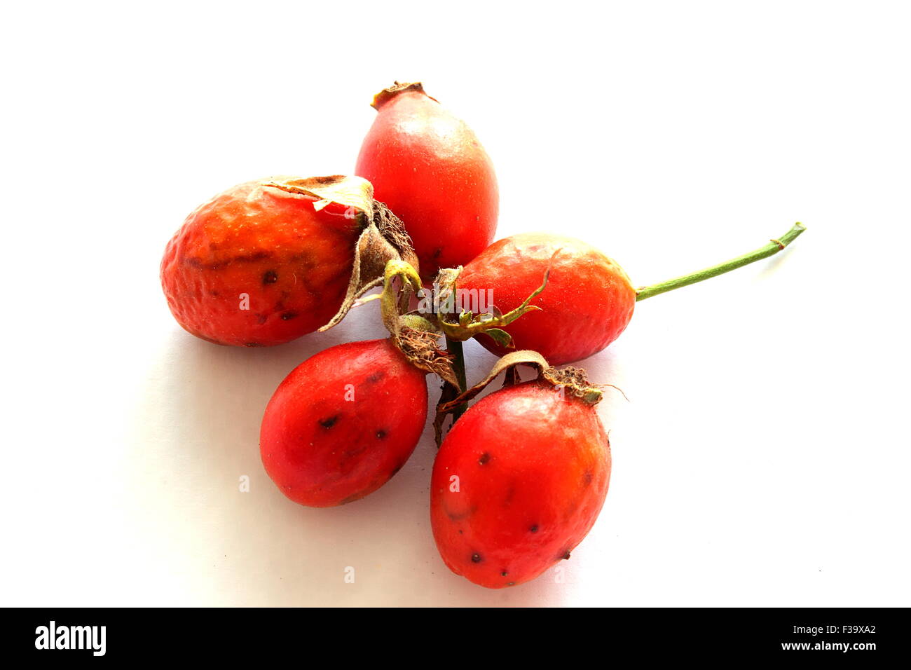 Pile of rose hips hi-res stock photography and images - Alamy