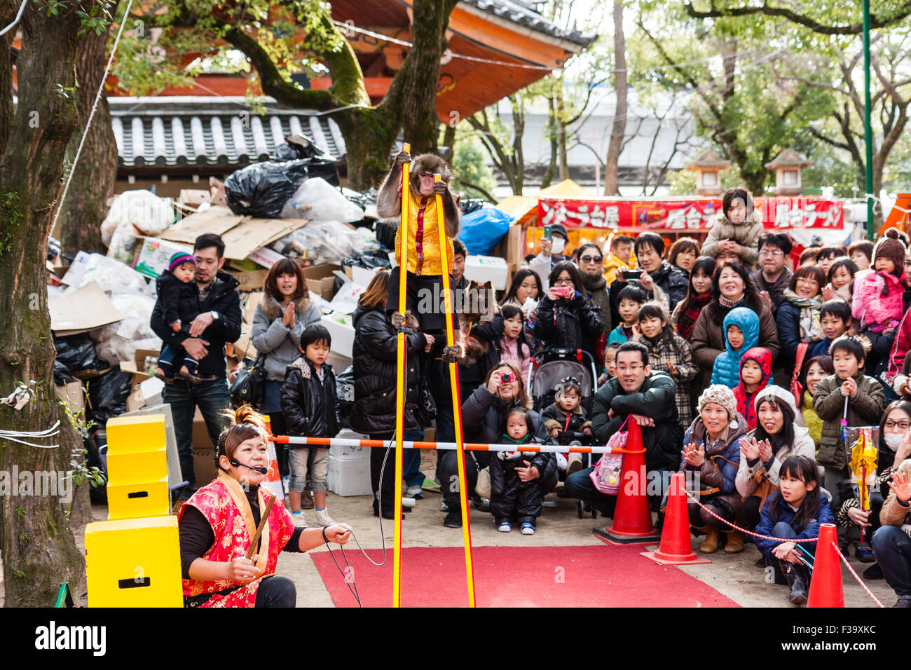 Monkey walking on hi-res stock photography and images - Alamy