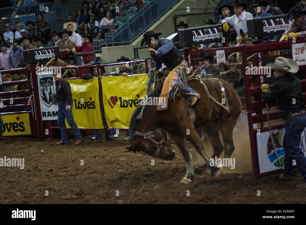 Rodeo cowboy falling off horse hi-res stock photography and images - Alamy