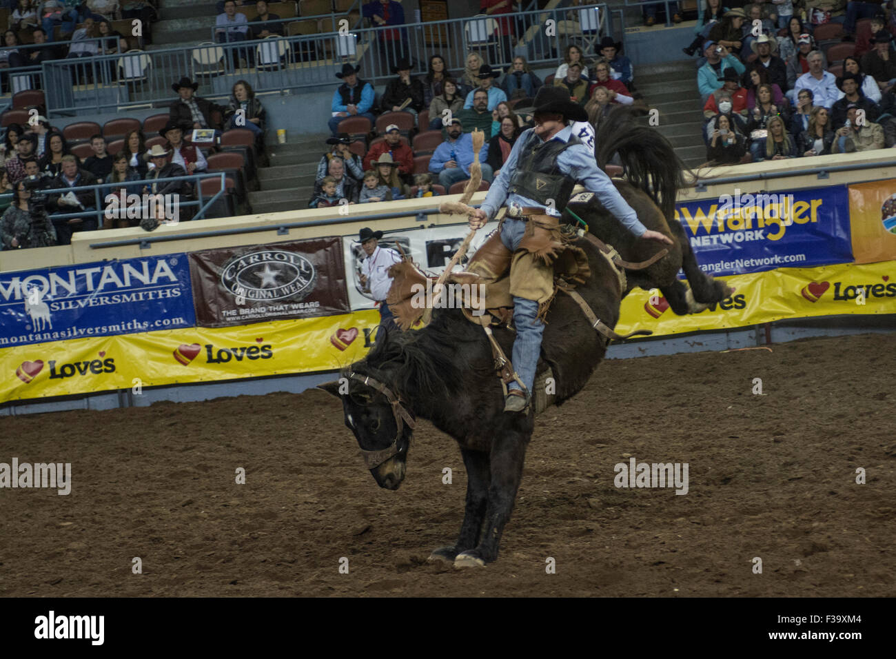 Rodeo cowboy falling off horse hi-res stock photography and images - Alamy