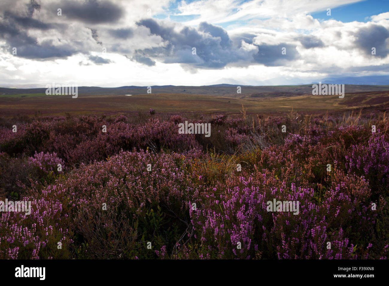 Photograph by © Jamie Callister. Sunset on the Denbigh Moors ...